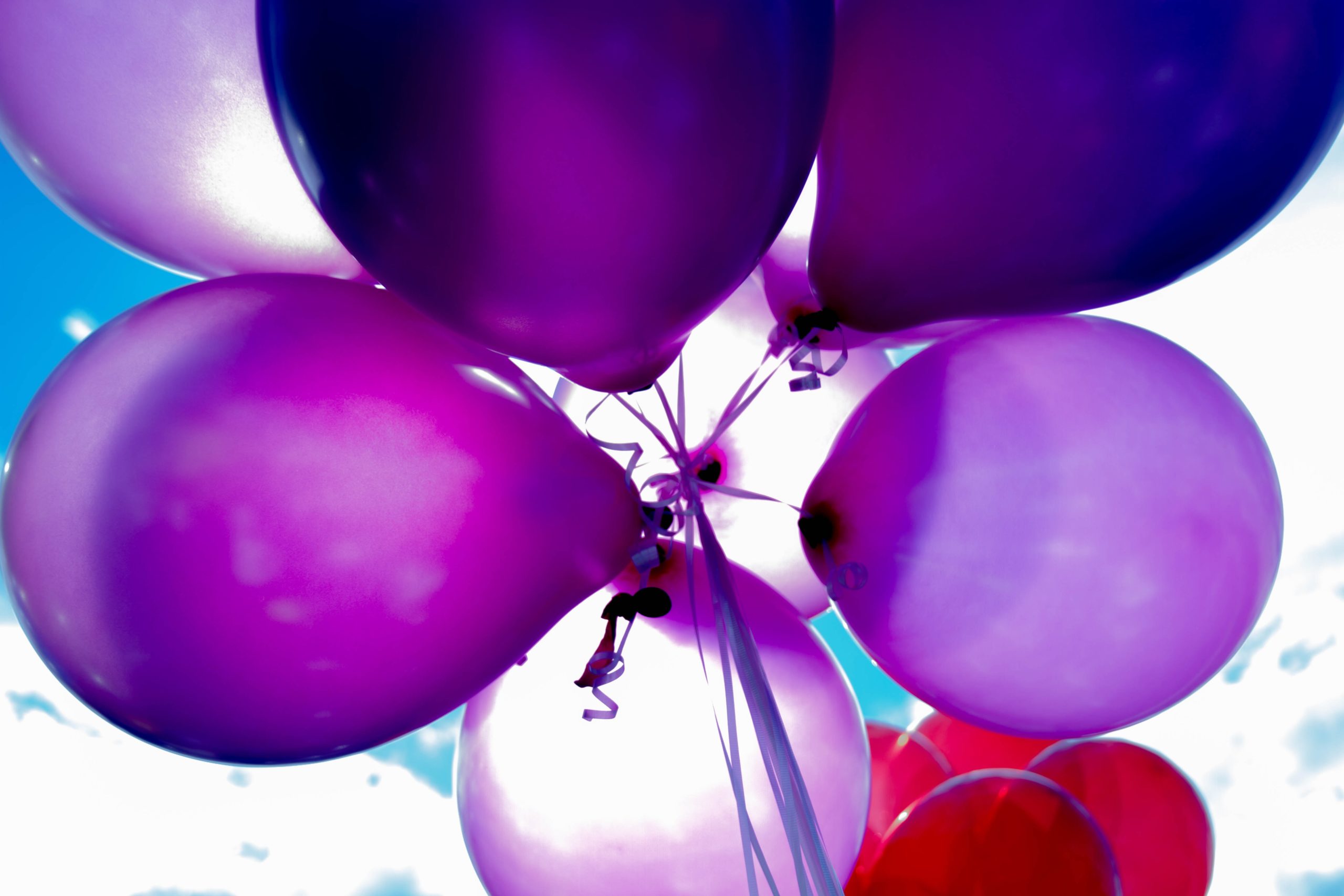 The Blitz Group Blitz Balloons Fancy Dress the-blitz-group-blitz-balloons-fancy-dress